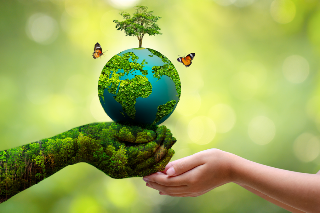 Practices for a Greener Planet: Sustainable Living - reachfar